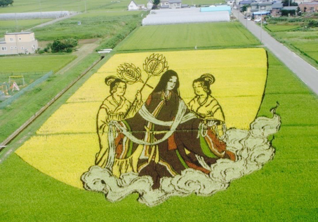 Rice Field Art | Kuroishi - travelstoke