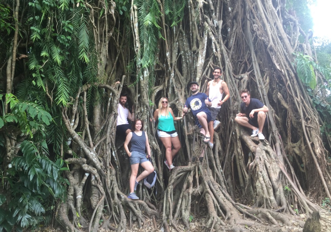 Balete Tree (Millenium Tree) | Maria Aurora - travelstoke