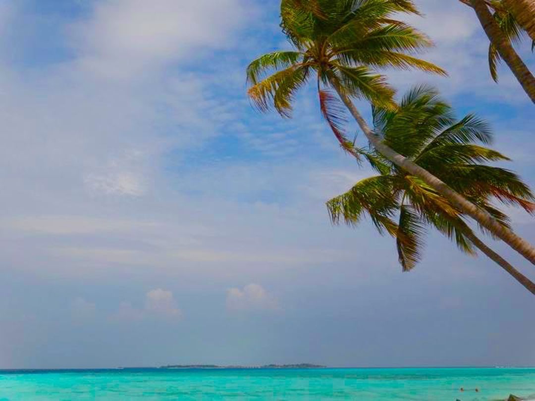 Bikini Beach | Hithadhoo - travelstoke