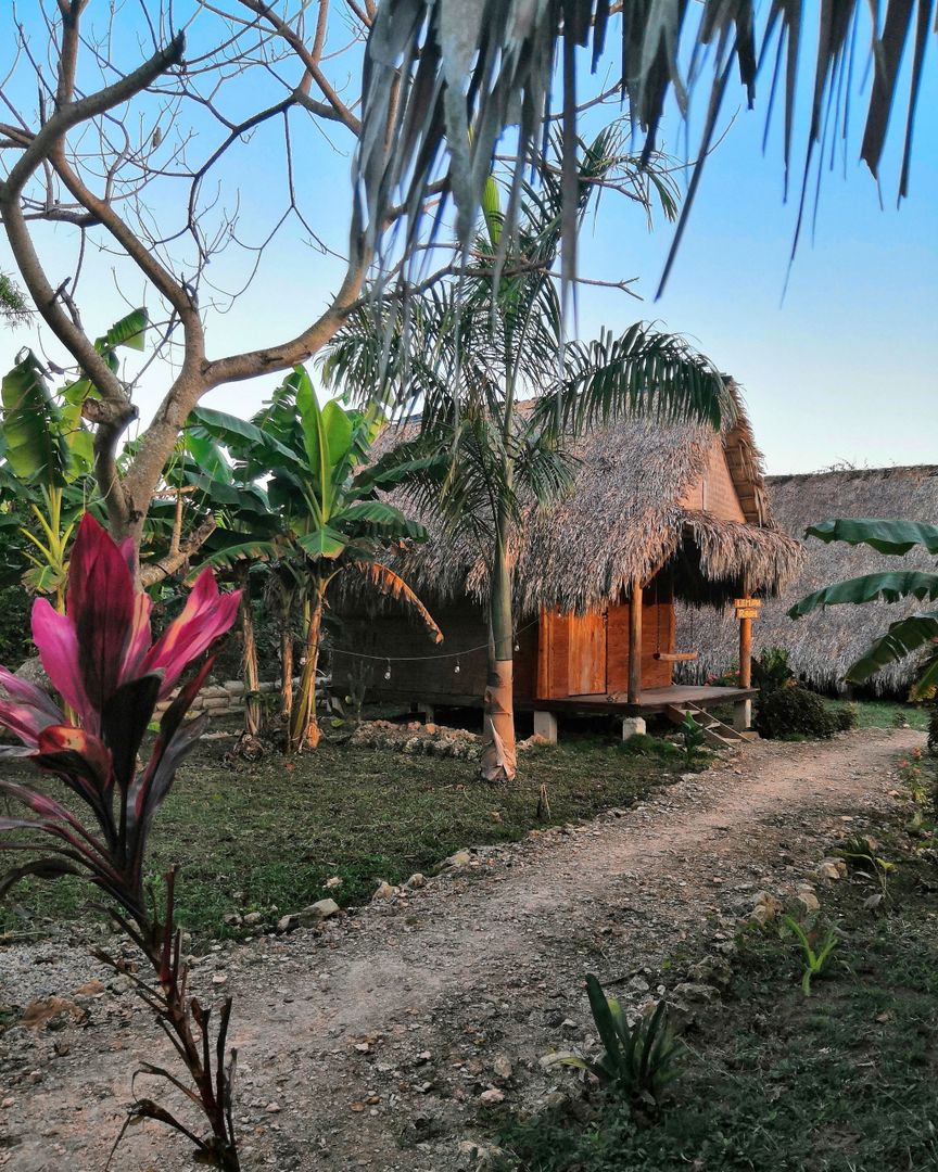 Samana Ecolodge | Samaná - travelstoke