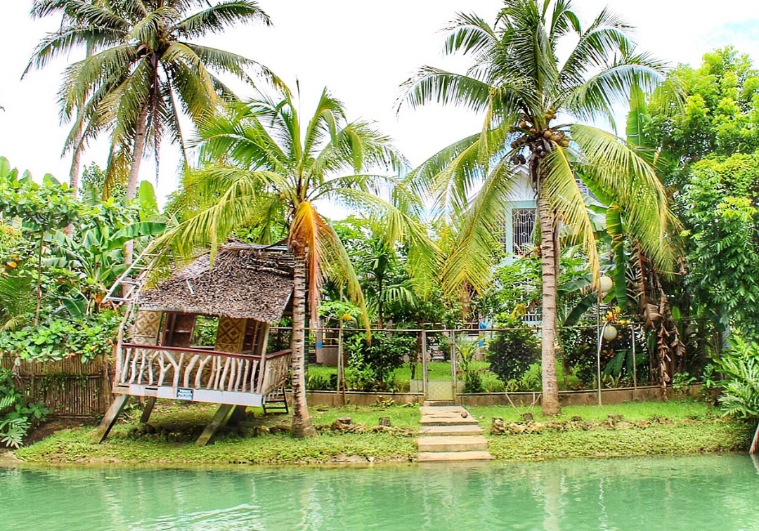 Loboc River | Loboc - travelstoke