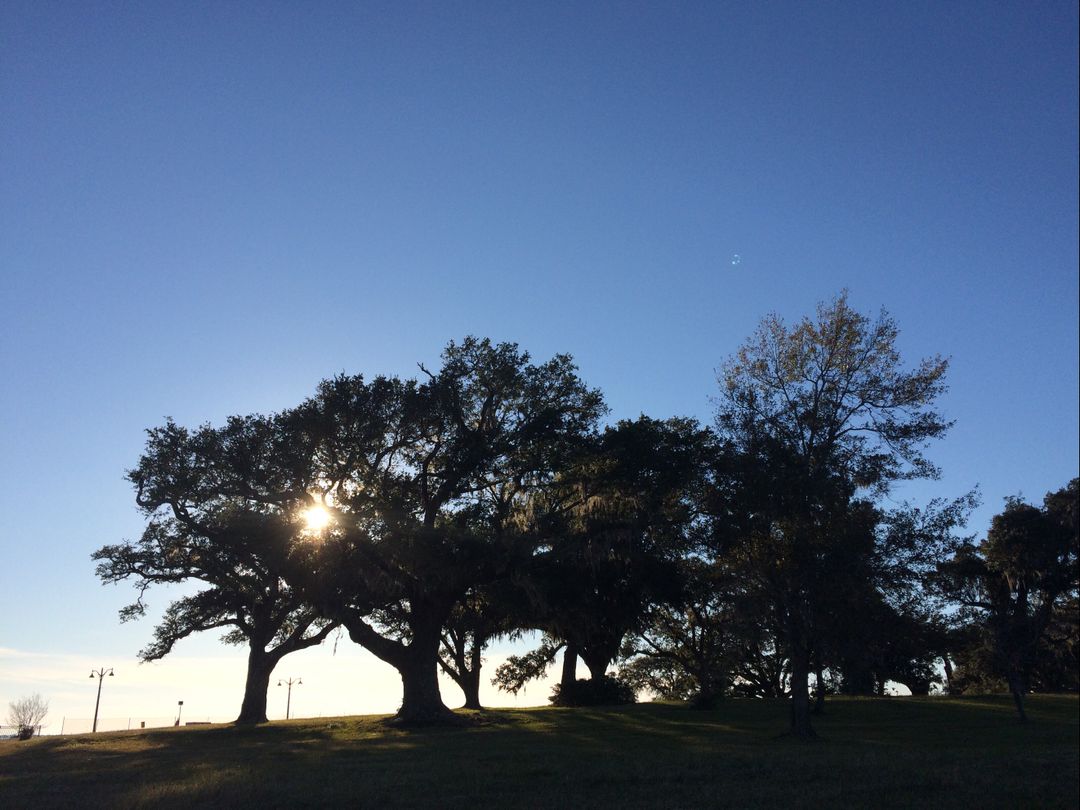 Fort Maurepas City Park and Nature Preserve | Biloxi - travelstoke