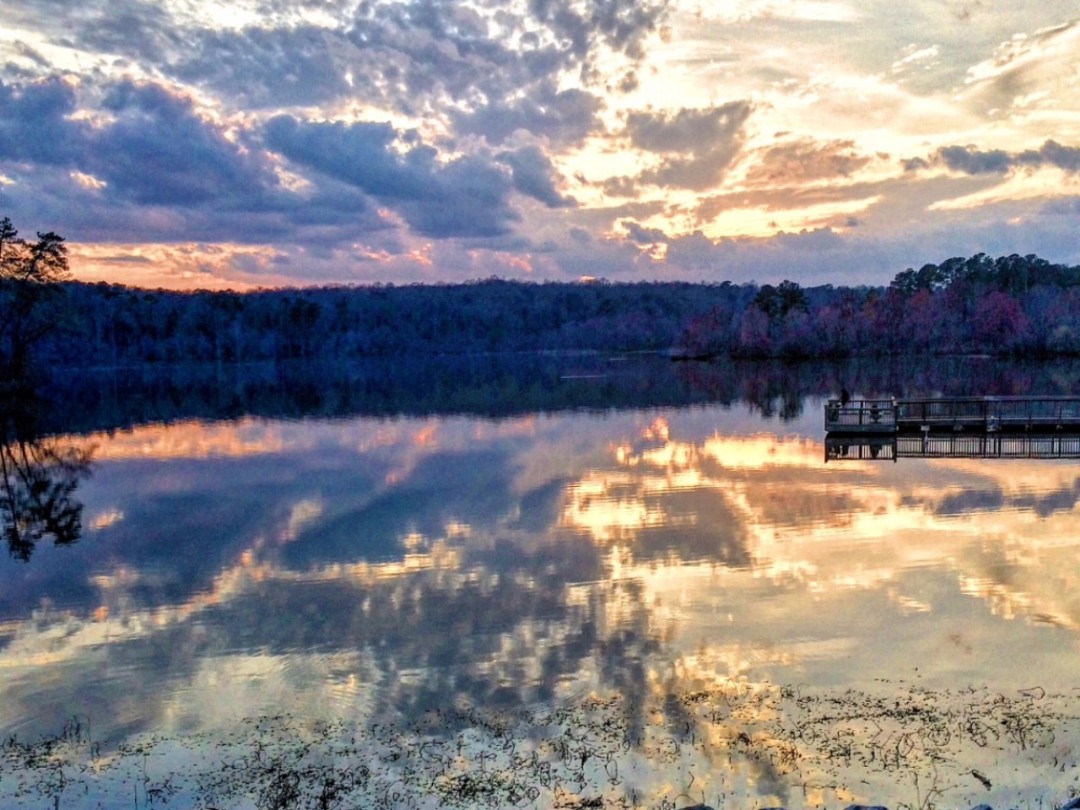 Lake Raleigh | Raleigh - travelstoke