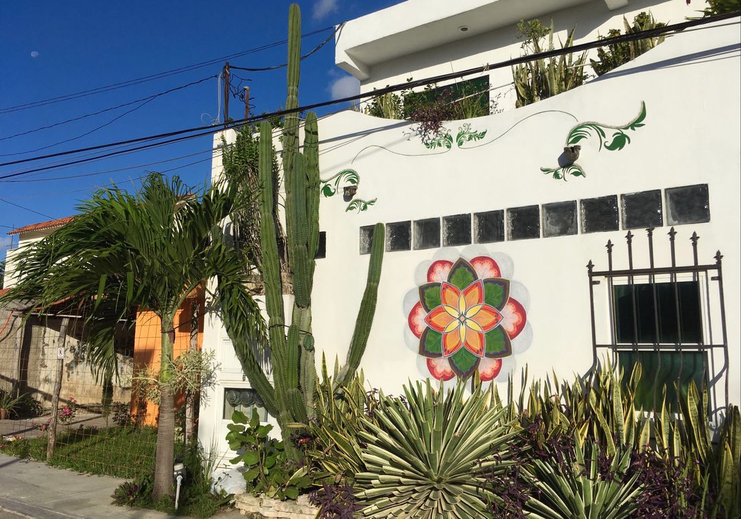 Tulum Town | Tulum - travelstoke