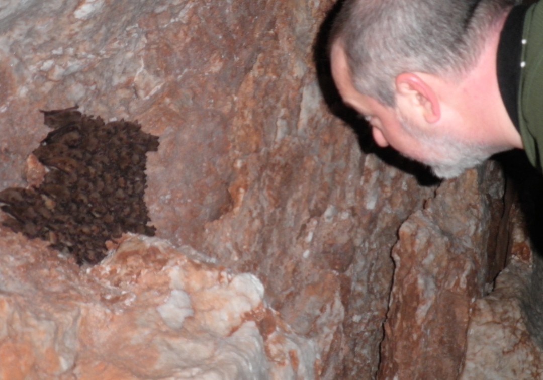 Alabaster Caverns State Park | Freedom - travelstoke