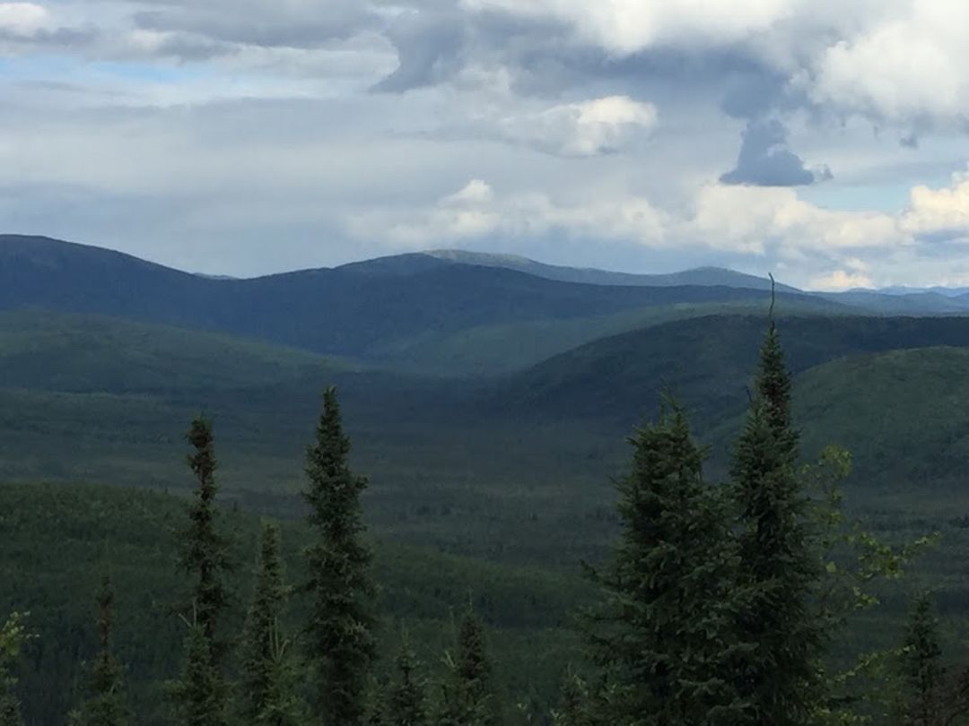 Compeau Trail | Fairbanks - travelstoke