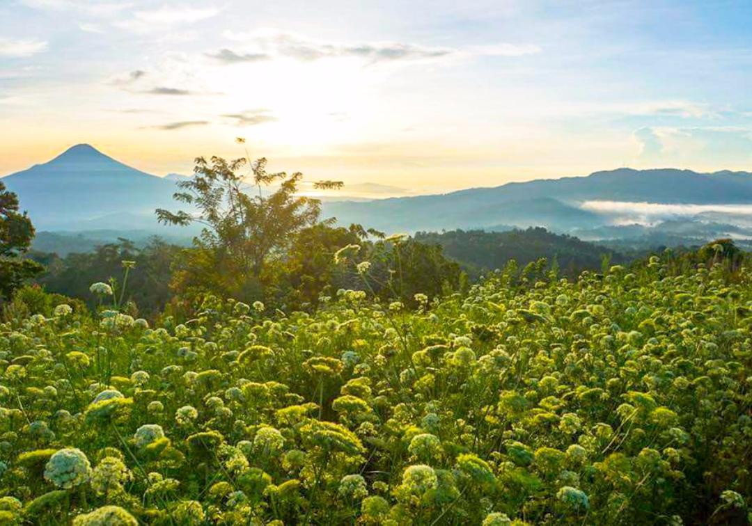 Rurukan | Tondano - travelstoke