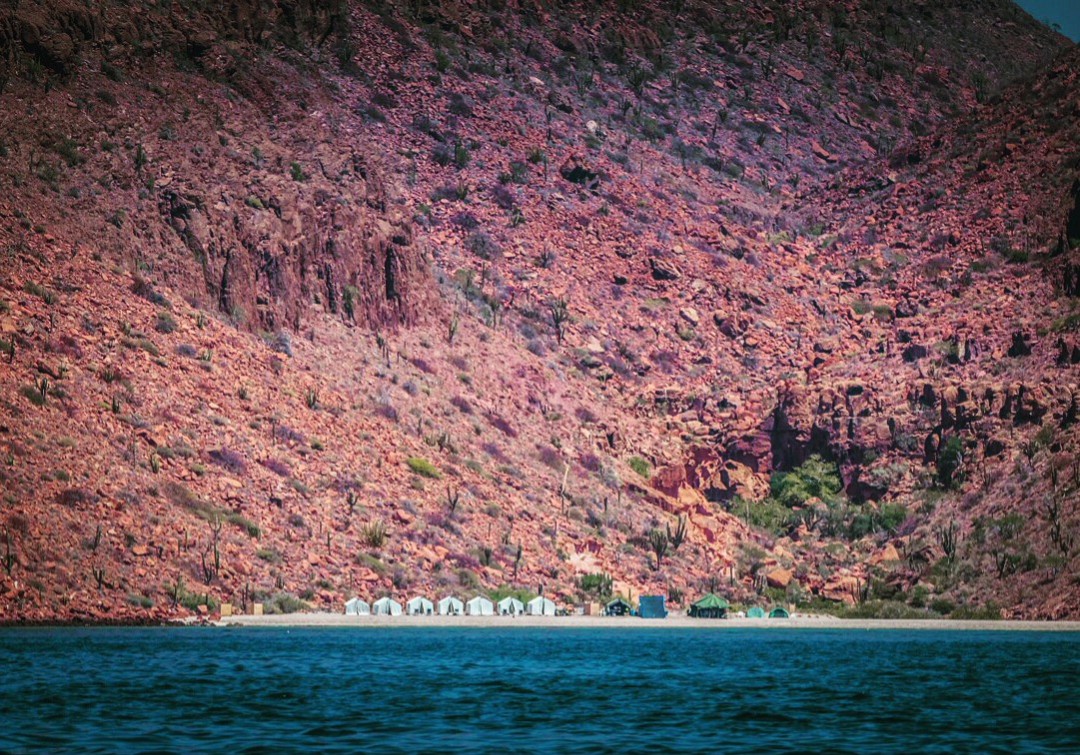 Isla del Espiritu Santo | Puerto Mexia - travelstoke