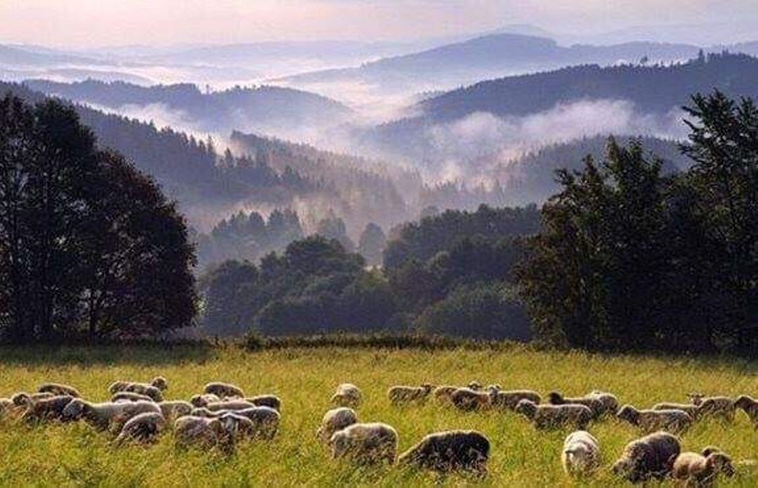 Šumava National Park | Borová Lada - travelstoke