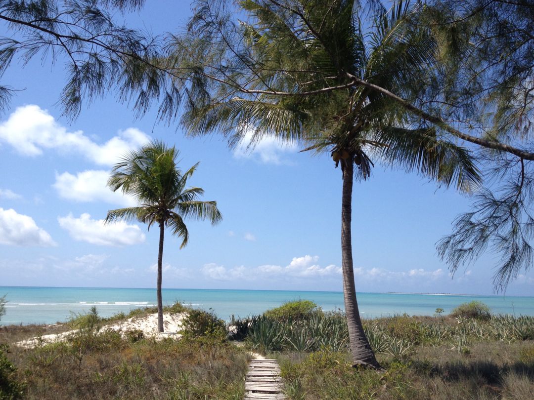 Chocas beach | Ilha de Moçambique - travelstoke