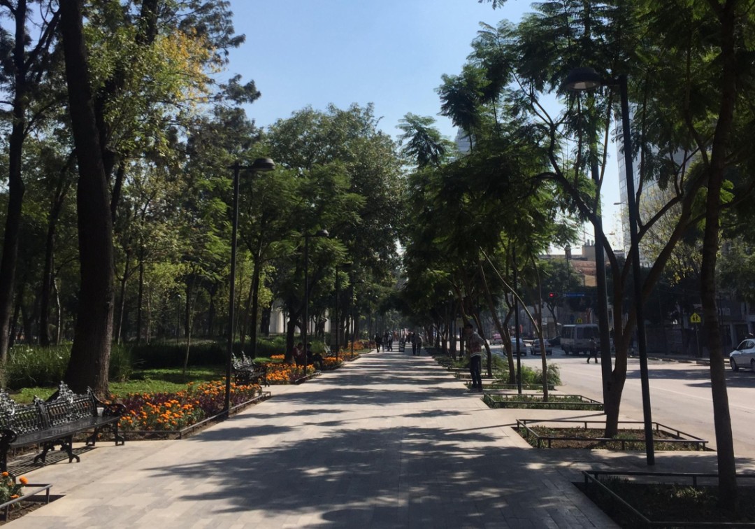 Las 7 mejores calles para caminar por la Ciudad de México - Matador Español