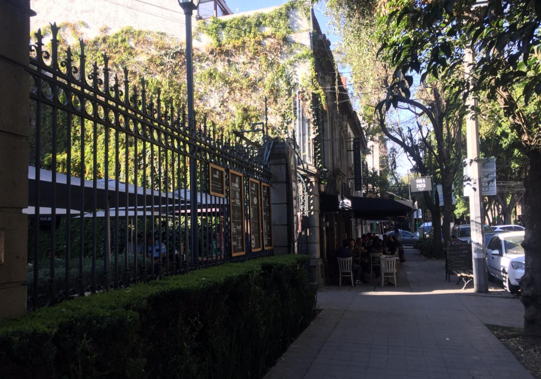 Las 7 mejores calles para caminar por la Ciudad de México - Matador Español