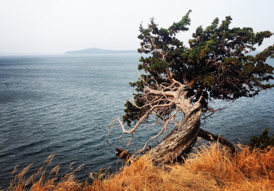 Sucia Island State Park | Birch Bay - travelstoke