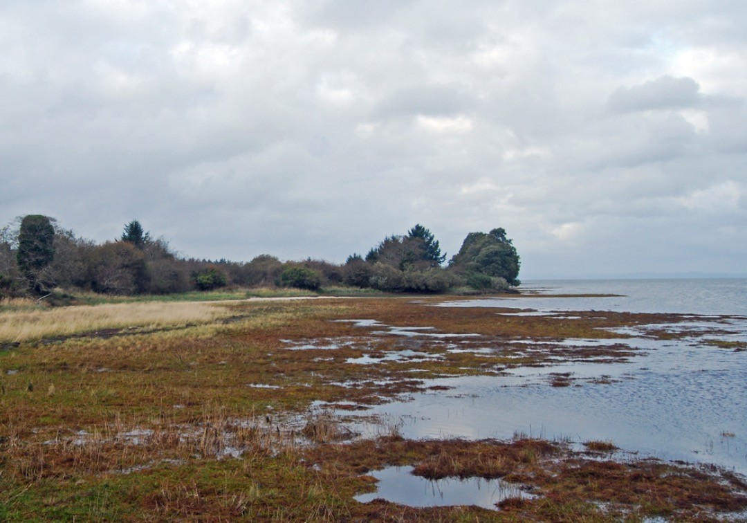 Leadbetter Point State Park | Ocean Park - travelstoke
