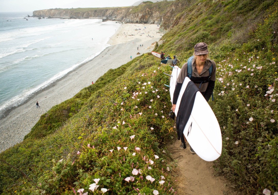 Sand Dollar Day Use Beach | Plaskett - travelstoke
