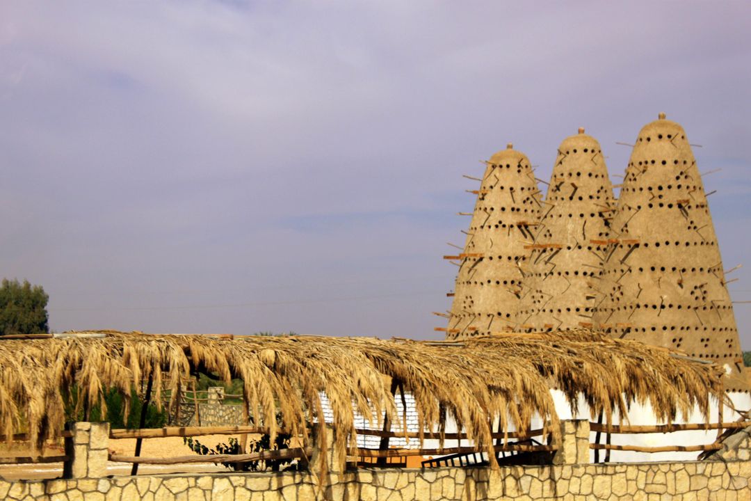 Bahariya Oasis | Al Bawīţī - travelstoke